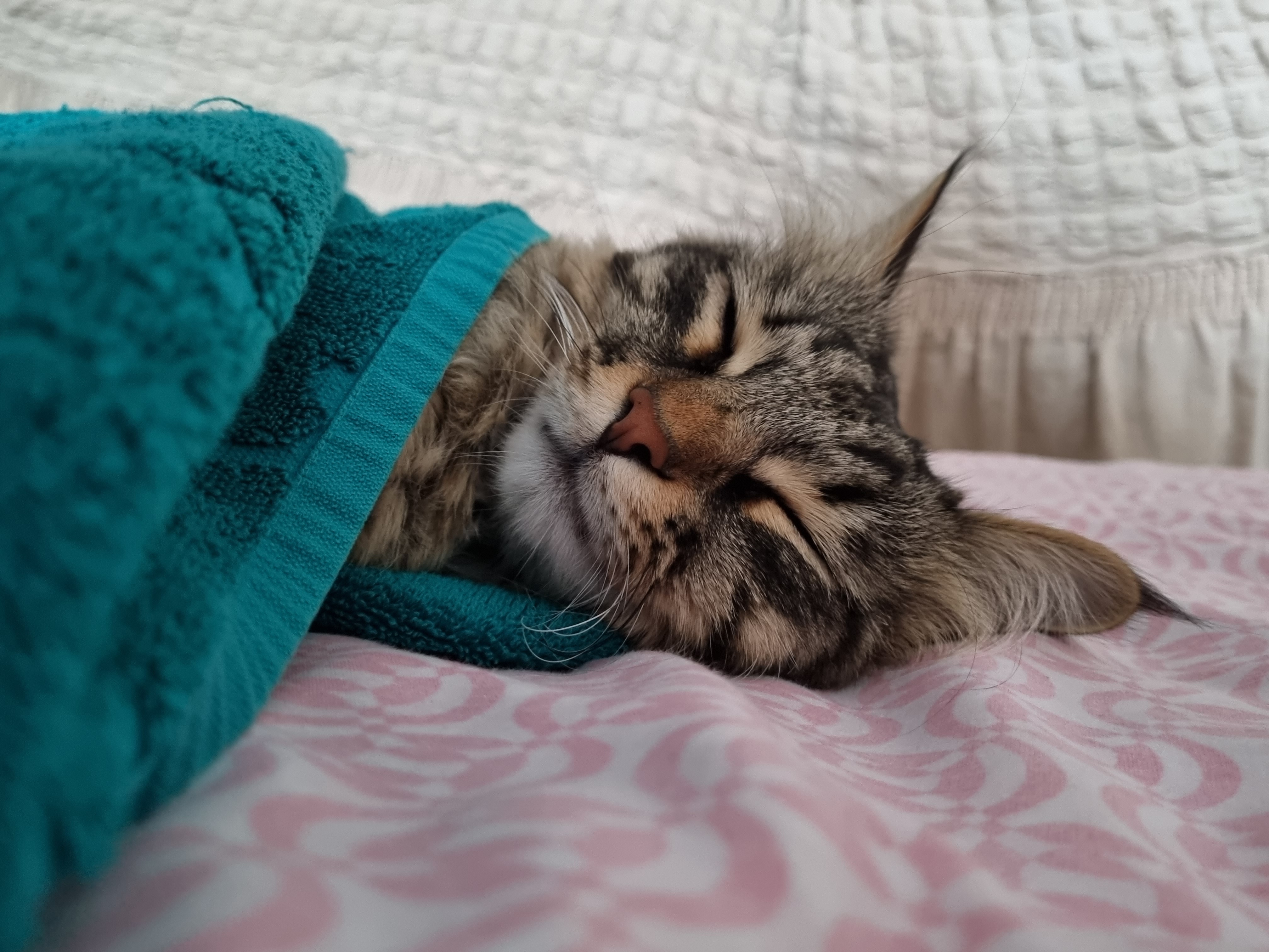 Sleep